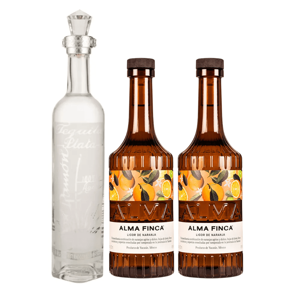 Tequila Don Ramon Plata Punta Diamante 750 ml + 2 botellas Alma Finca ...